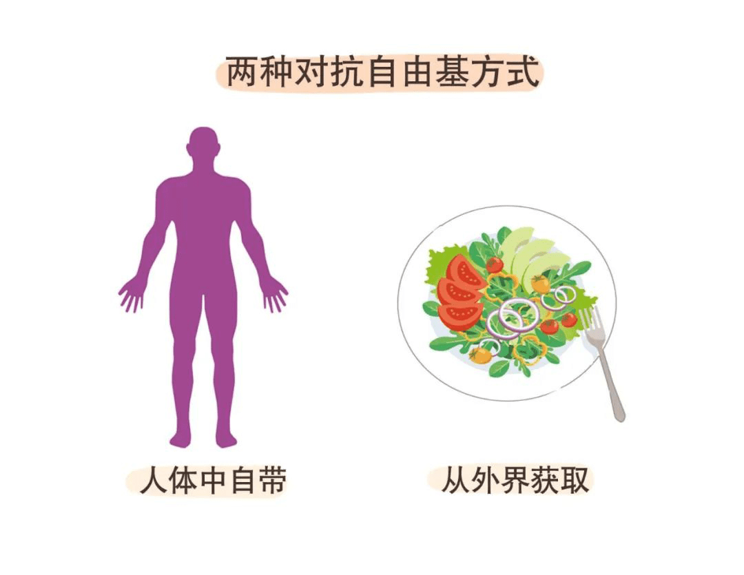 Fertimale改善精子质量的原理是什么，为何见效那么快？_活性氧