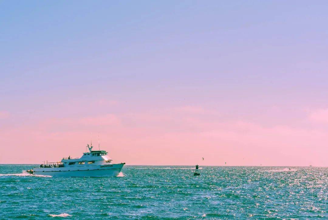 LAYCAN的真正含义是什么？_船舶