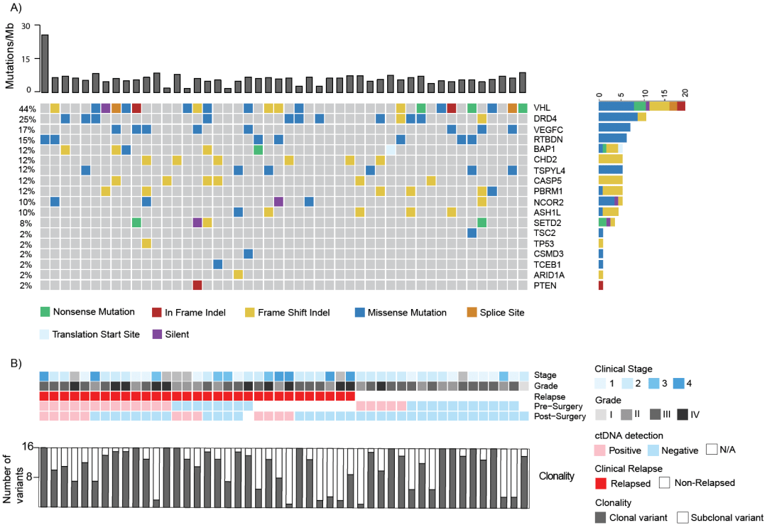 基因检测产品的诞生之初：肿瘤MRD动态监控_ctDNA_患者_panel
