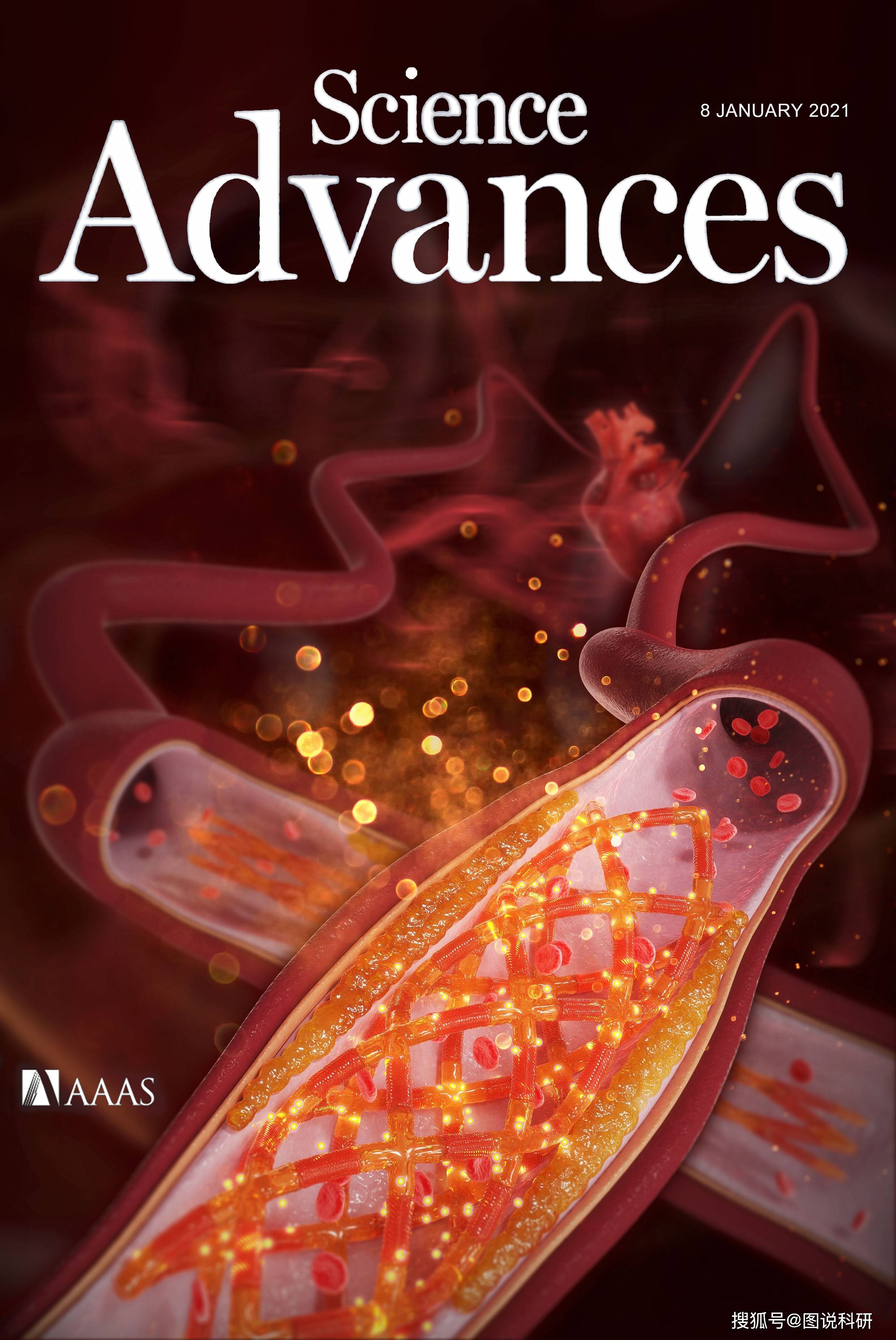 科研绘图作品 邦图文化 期刊封面设计 文章插图 医学插画_杂志_绘图_插画