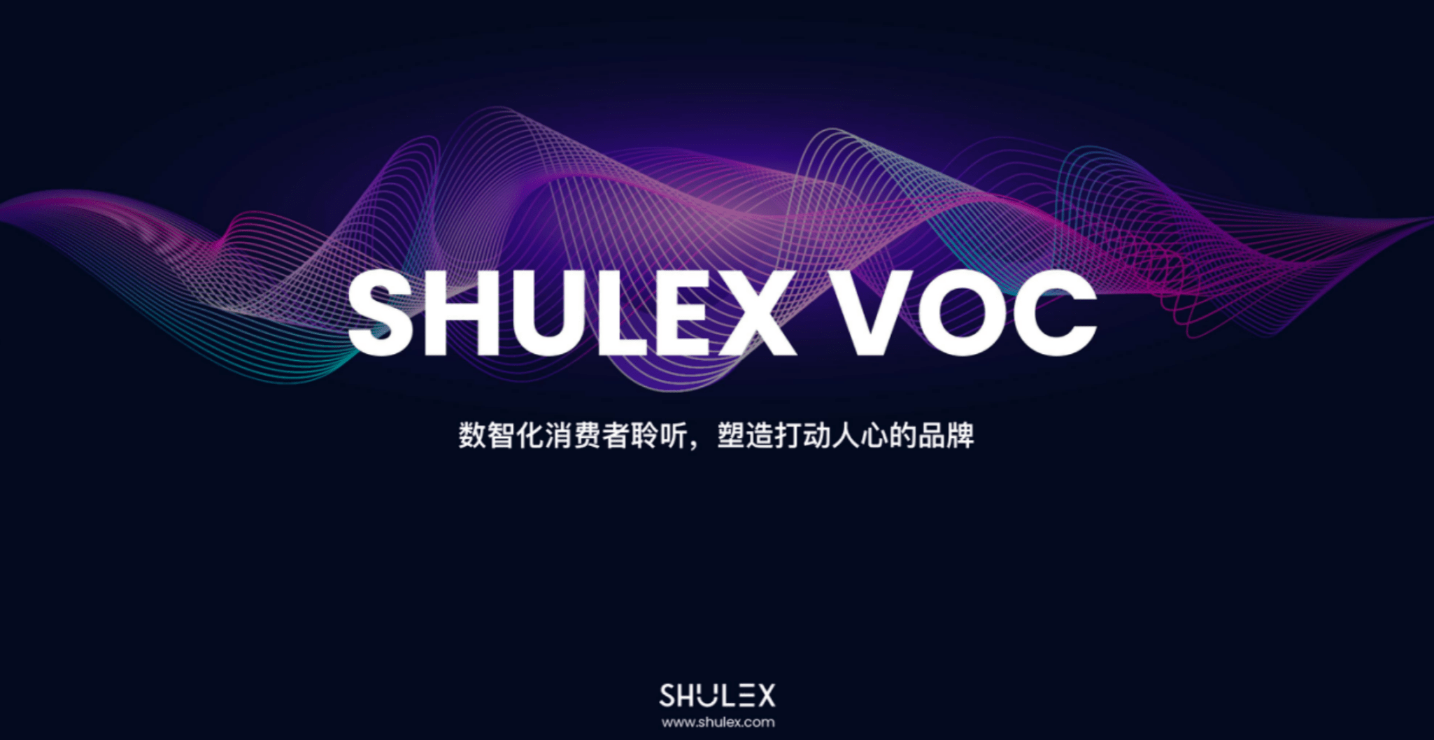 Shulex VOC指南｜第一篇：什么是“VOC”客户声音？_反馈_项目_企业