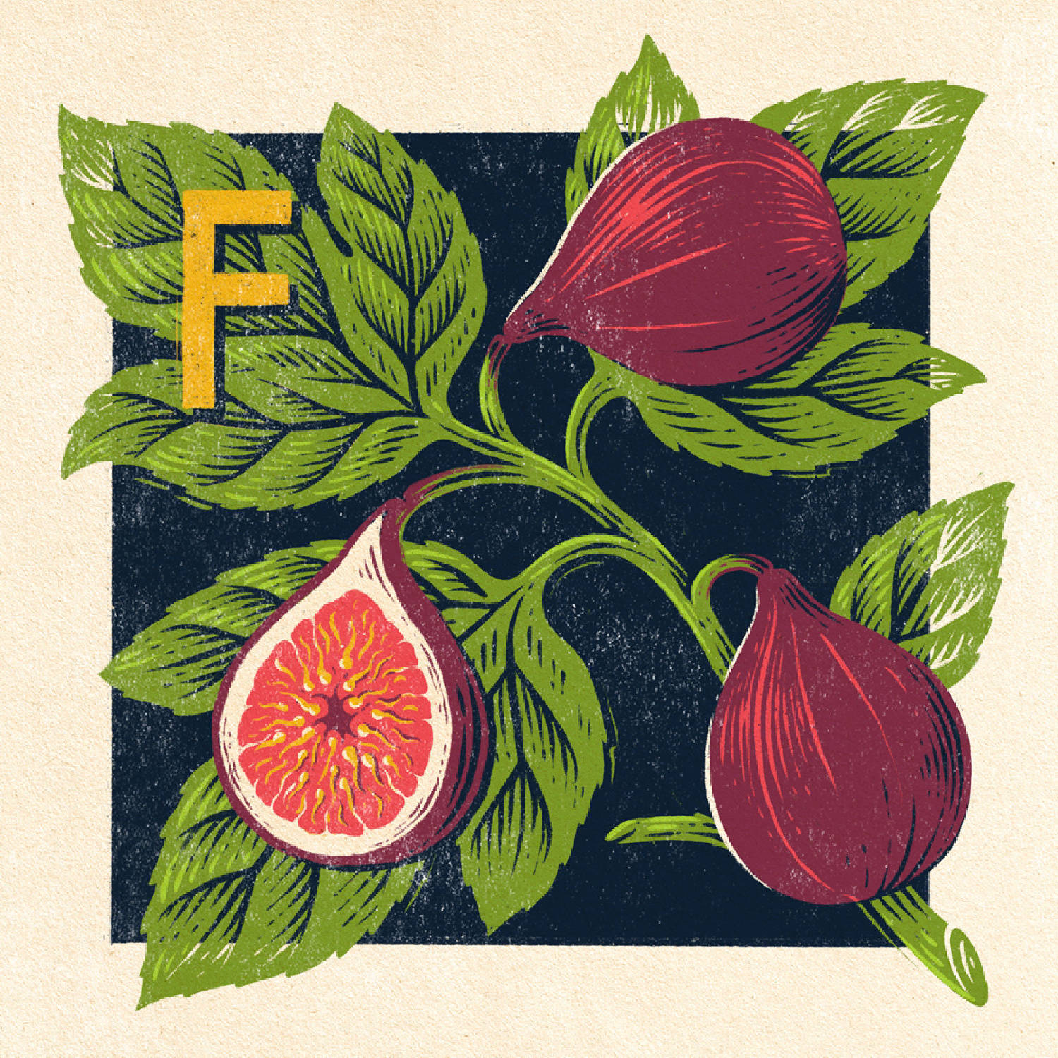 独特的复古插画一组 by Ella Ginn -搜狐大视野-搜狐新闻