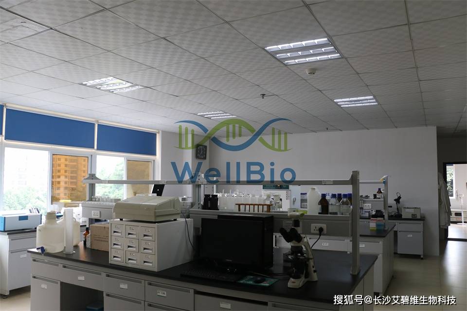 长沙艾碧维（Abiowell）实验室图片--细胞房-搜狐大视野-搜狐新闻