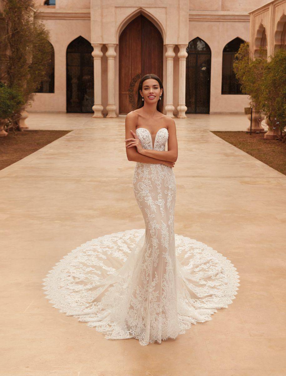 顶级手工婚纱品牌Demetrios 高清图片画廊5-搜狐大视野-搜狐新闻