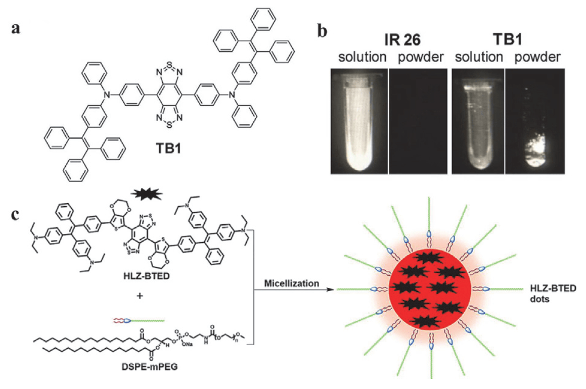 【NIR-II近红外二区荧光成像】NIR-II近红外二区荧光成像中有机小分子荧光探针_领域_组织_生物