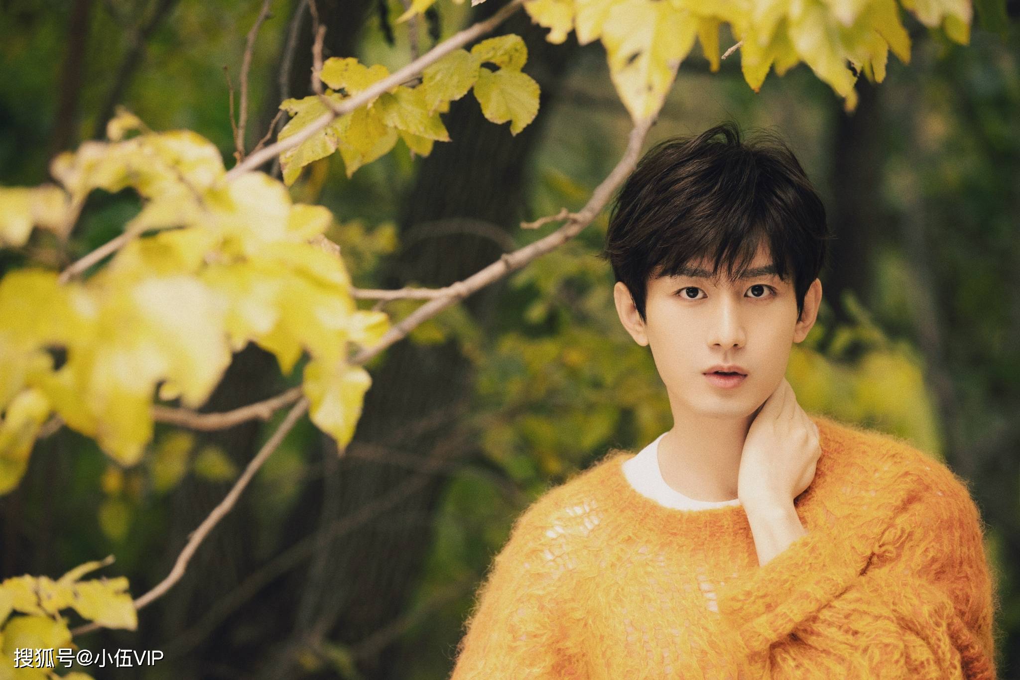 你喜欢成毅拍得电视剧吗？-搜狐大视野-搜狐新闻