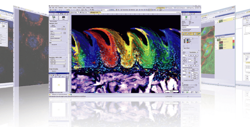 福利来啦！cellSens科研图像软件免费开放，“在家一样搞科研”！