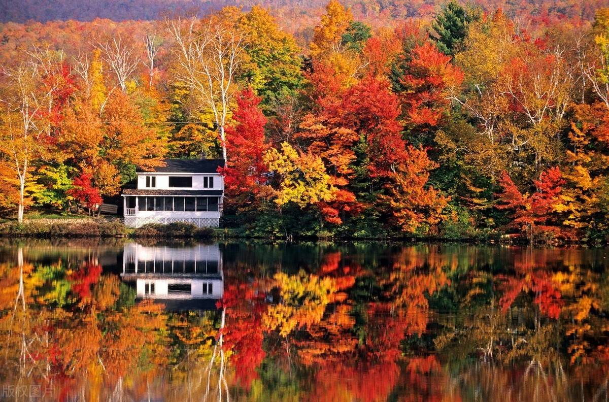 长假赏枫正当时 ,枫叶之国加拿大秋天才是它最美的时光-搜狐大视野-搜狐新闻