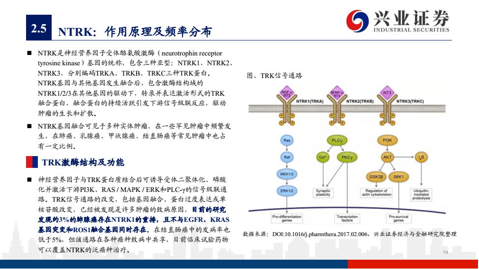 肺癌深度报告：序贯靶向治疗是核心，免疫联合治疗是新常态_Met