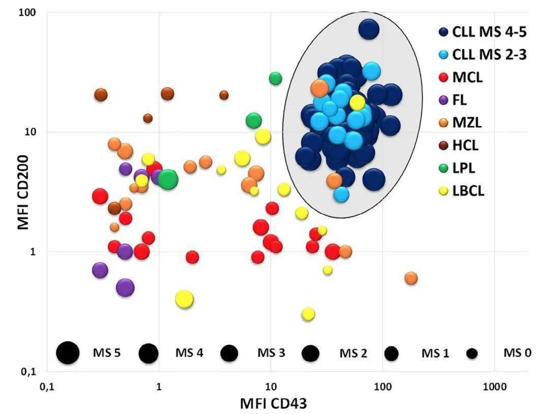 只需CD200和CD43，就能鉴别CLL和non-CLL，比常规的MS积分还好_al