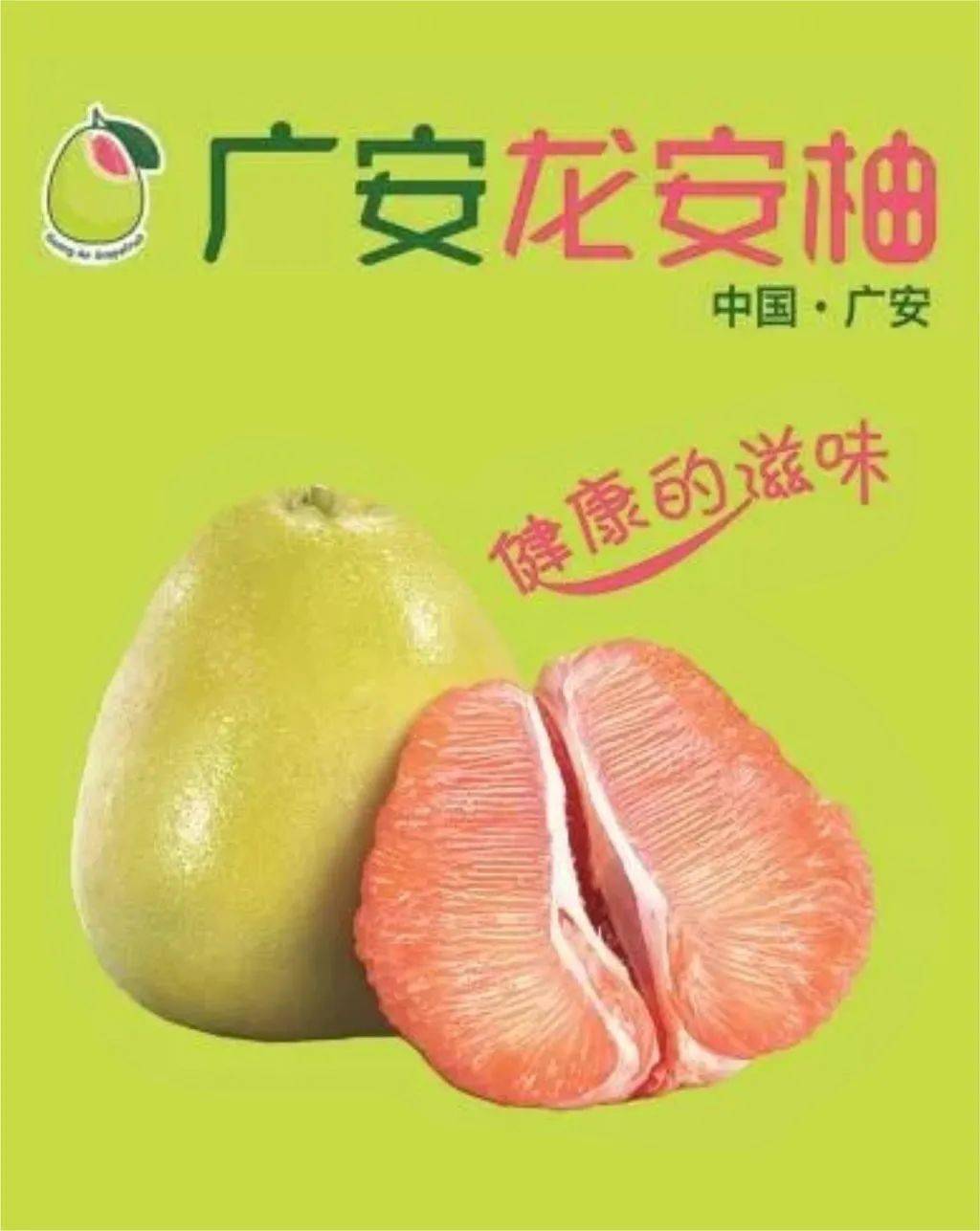 【四川日报首席V访谈】专访广安市委书记李建勤：探索经济区与行政区适度分离，2025年基本建成成渝地区双城经济圈建设示范市-搜狐大视野-搜狐新闻