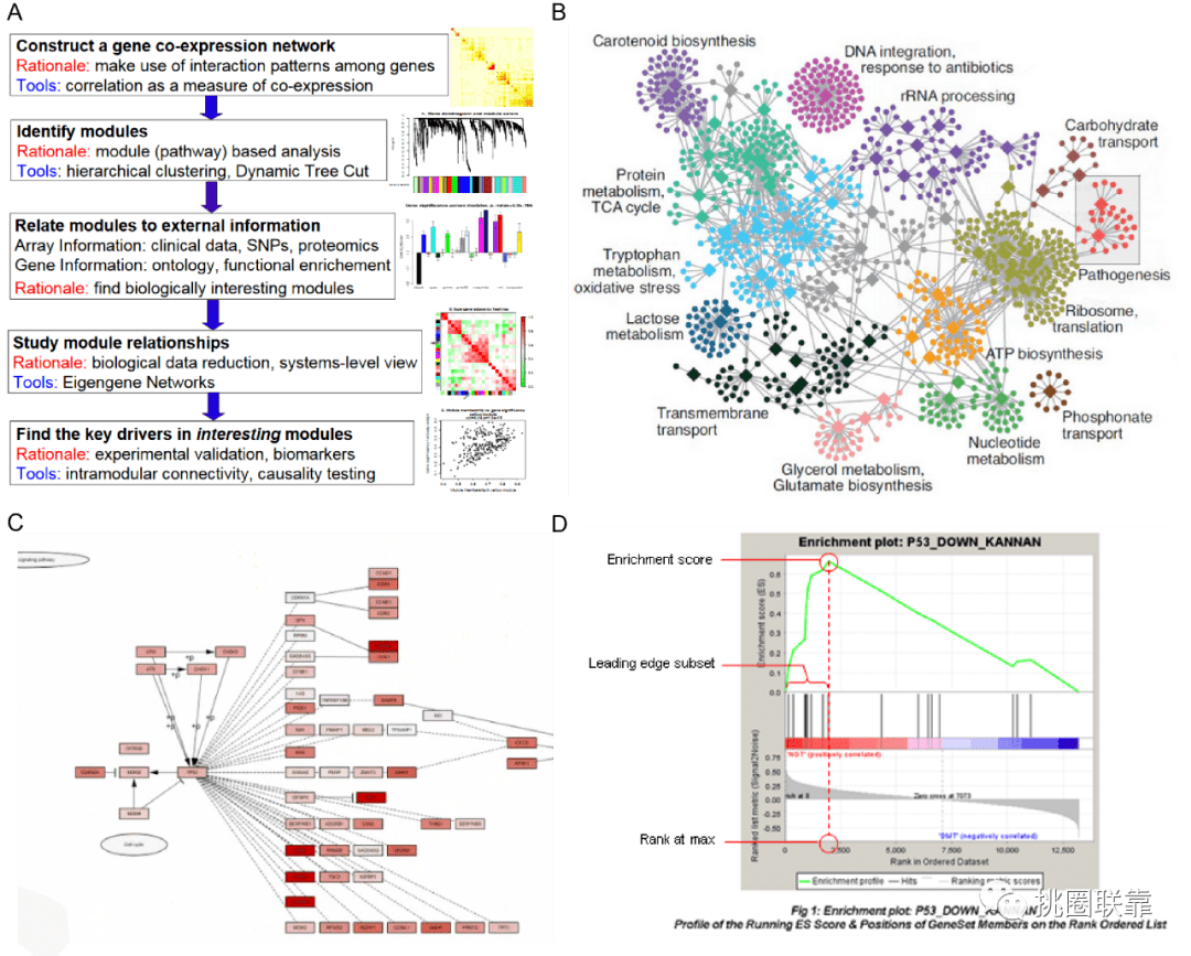 诚意满满的WGCNA分析，不进来看看吗？_exp
