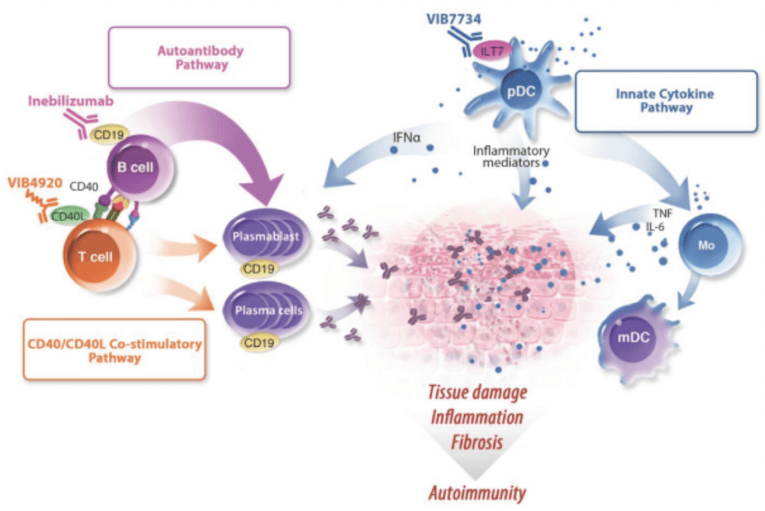 探针资本_上市公司分析： Viela Bio_免疫