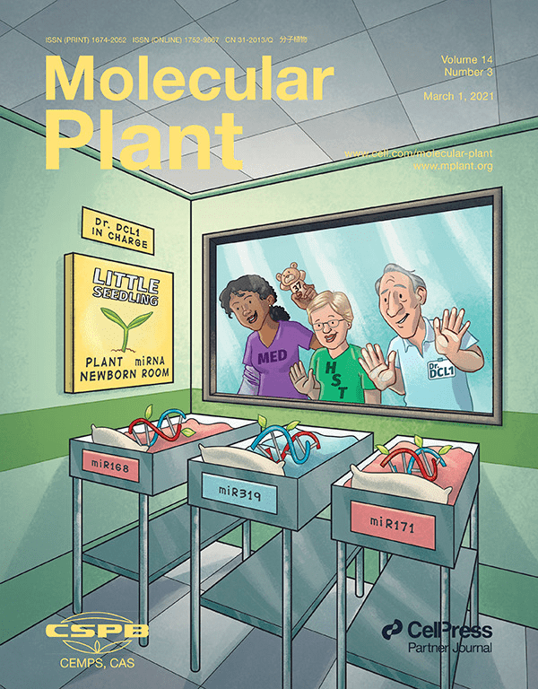 Molecular Plant 2021年 第3期目录及简介_The