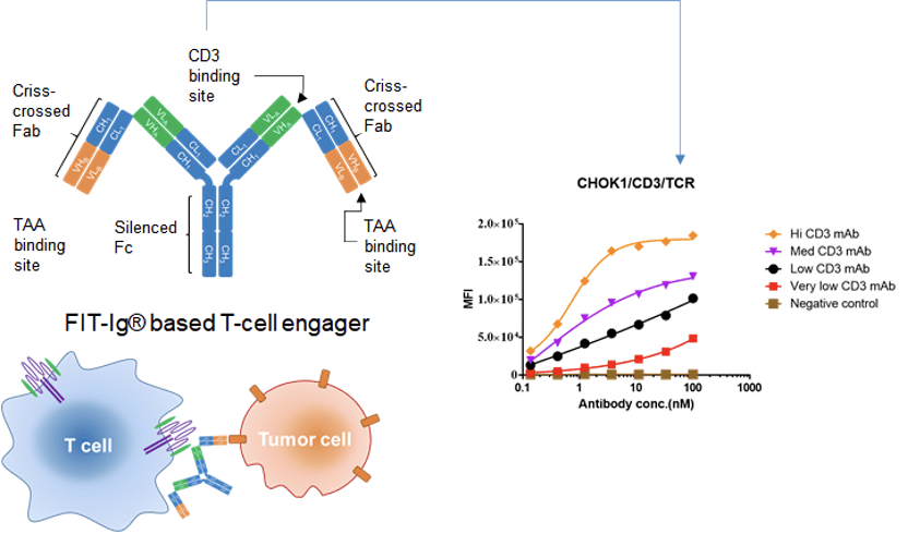中国双抗平台巡礼 - 岸迈生物篇_临床