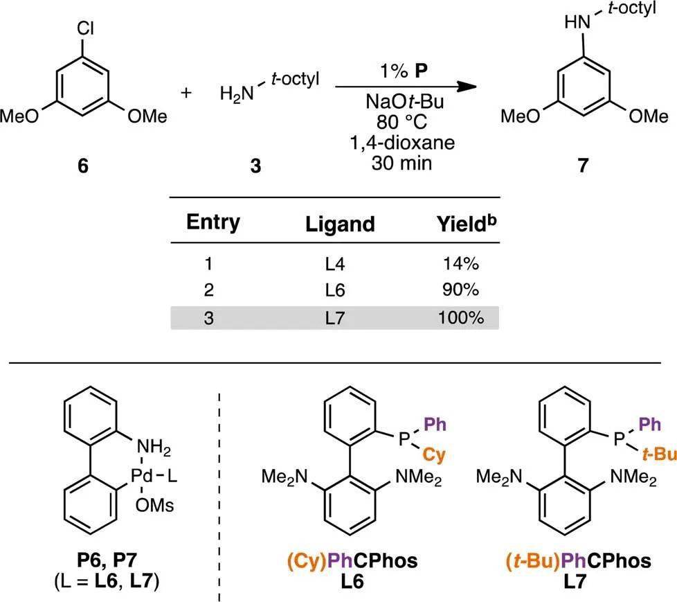 Buchwald-Hartwig偶联反应中常见的配体_RuPhos