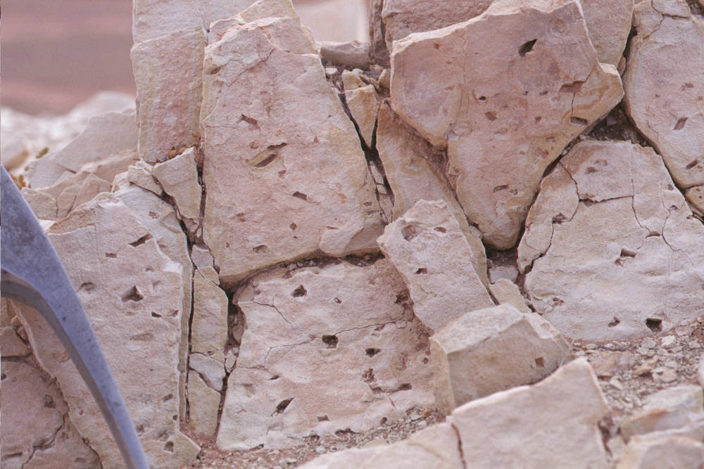 一个英国人的寻找香格里拉之旅（二）_高原上