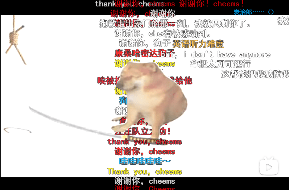 这条当了万年配角的狗，终于打败了Doge_Cheems