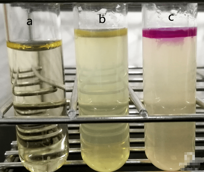 GB 4789.4-2016 沙门氏菌的检验过程及操作时的注意事项_接种