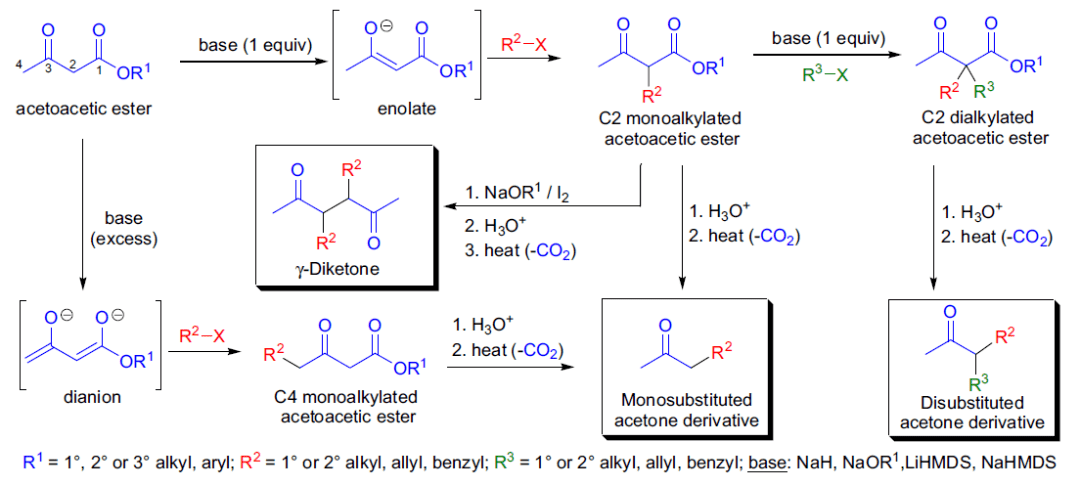 乙酰乙酸酯合成法（acetoacetic ester synthesis）_反应