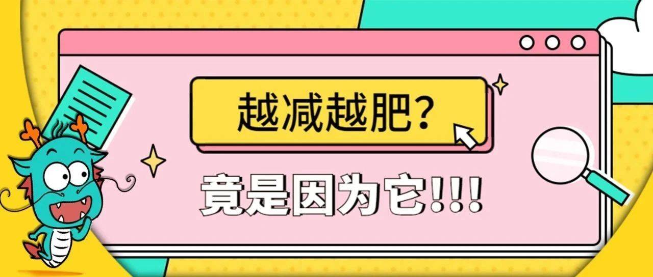 越减越肥的元凶竟然是它产品