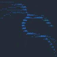 Kali Linux 新版发布，可在智能手表上运行_Wi-Fi