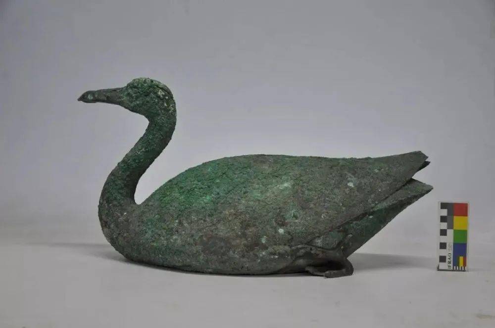 论秦始皇陵园K0007陪葬坑的性质_水禽