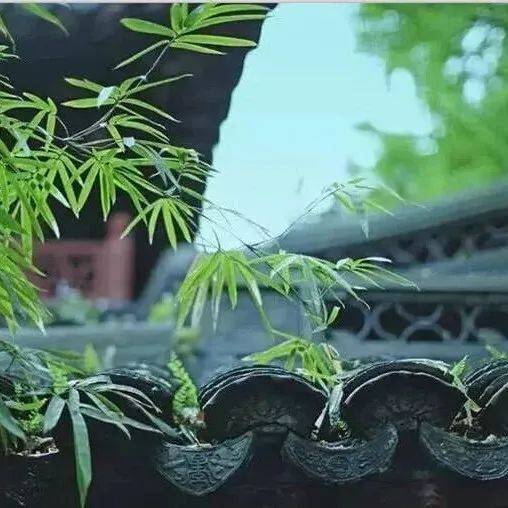 腹有诗书气自华书卷气