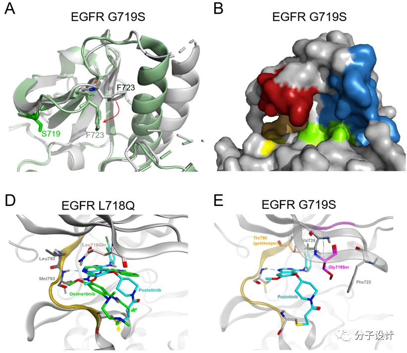 基于机器模型预测非小细胞肺癌EGFR突变的药物反应_分类