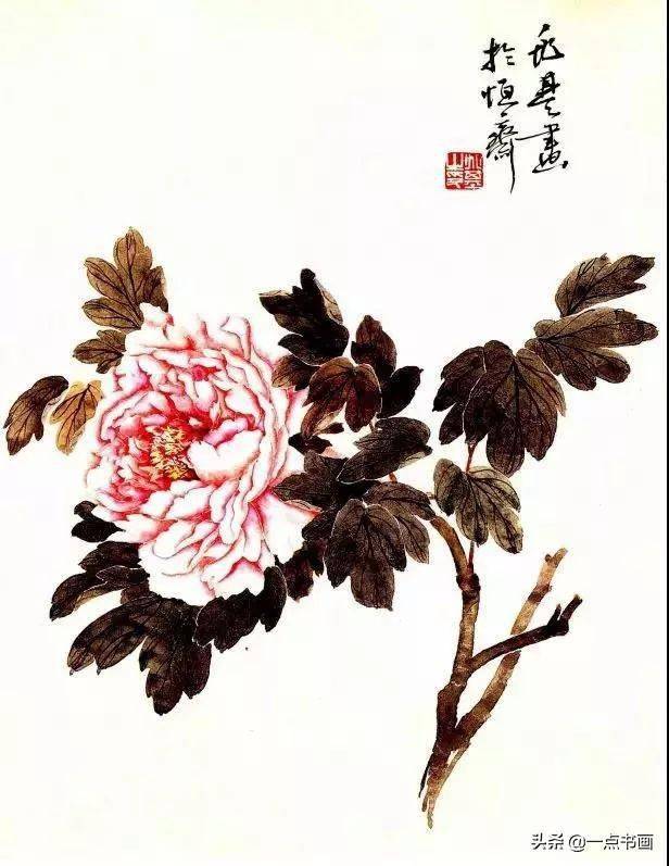 牡丹的10种画法_花瓣