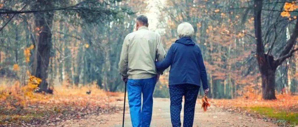 孝敬父母的“7个层次”_子女