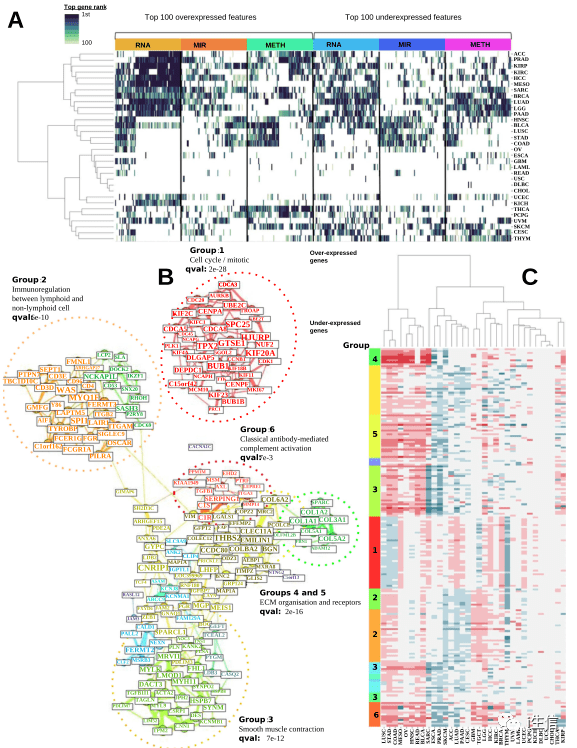 如何把预后生存做得高大上？看完这篇10+文章你也就懂了！_DeepProg