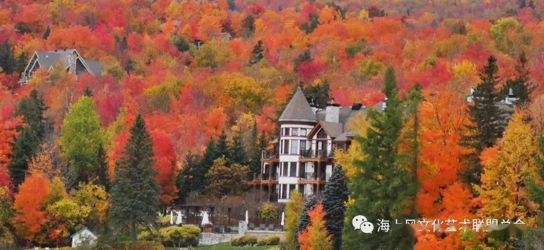 中英文栏目：《夢》作者：綠葉Lifen /翻譯： Jan Walls/中文朗读：曼迪/ 英文朗读：筱雁/ /栏目编辑：娟子_is