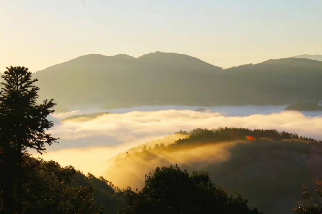 秋冬新款F4！你pick哪一个？_五峰