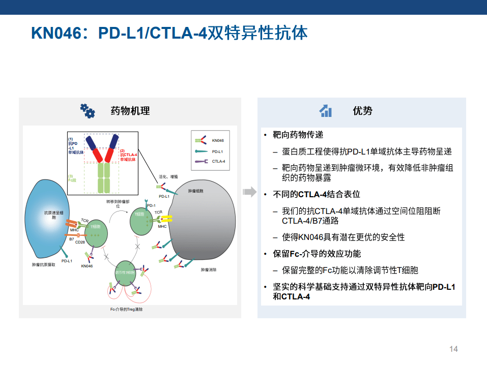 进击「癌中之王」！康宁杰瑞 PD-L1/CTLA-4 双抗即将启动胰腺癌 III 期临床_治疗
