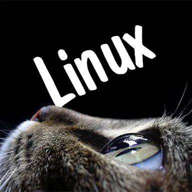 linux 中的 13 个基本 cat 命令示例_rumenz_文件_内容