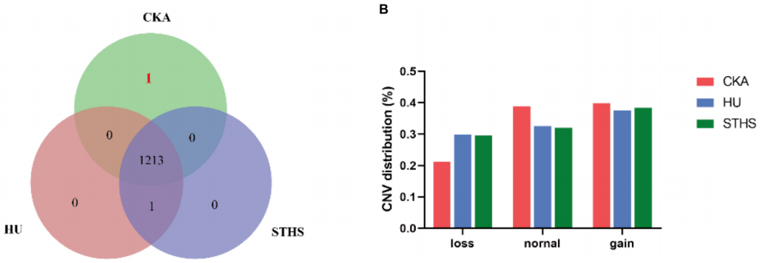 复杂数量性状的GWAS：SNP-GWAS to SV-GWAS_研究_鉴定_进行