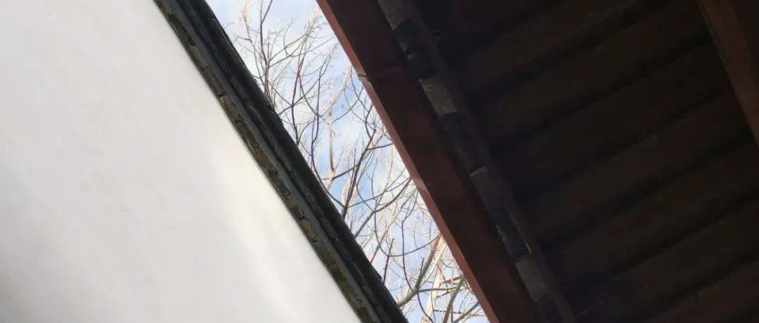 古厝悦读 在其间形成了线与面，静与动的对比与和谐 林容生 屋脊 屋顶