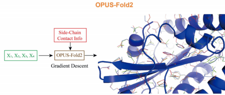 超越谷歌“AlphaFold2”，为新药研发提供利器：复旦复杂体系多尺度研究院团队发表全新蛋白质侧链预测成果_OPUS-Rota_结构_结果