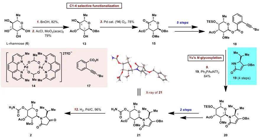 天然抗生素Amycolamicin/Kibdelomycin的全合成_片段_结构_产物
