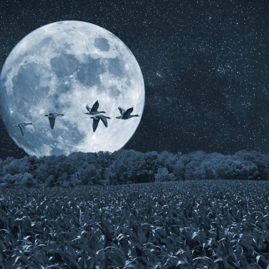 开源 Java 微服务应用程序框架 KivaKit 简介_Mixin_侦听器_状态