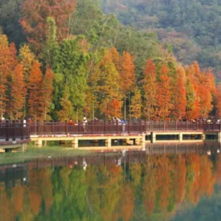 【热气腾腾五洞牛肉火锅丰盛自助晚餐】新会小九寨·石涧公园、 圭峰山赏秋、藏佛坑、入住新兴翔顺金水台温泉酒店自然空间新会