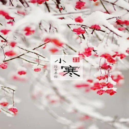 小寒 不畏严寒关 终迎春日暖张文广节气初长