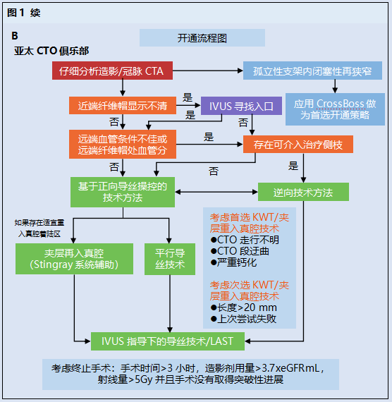 全球CTO开通共识流程图_让正史成为全党全社会的共识_造影_血管