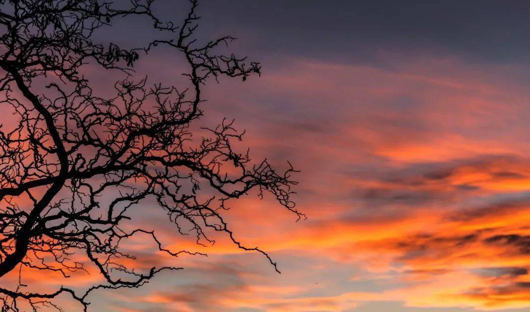 王勃最经典的10首唐诗，海内知己，江亭月夜，每一首都值得背诵_笔下_薛华_生活