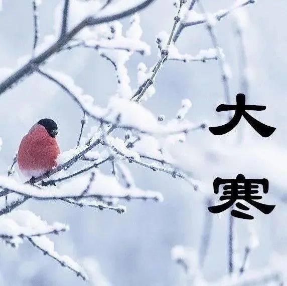 “大寒”用英语怎么翻译？它和“小寒”谁更冷？_During_Cold_Major