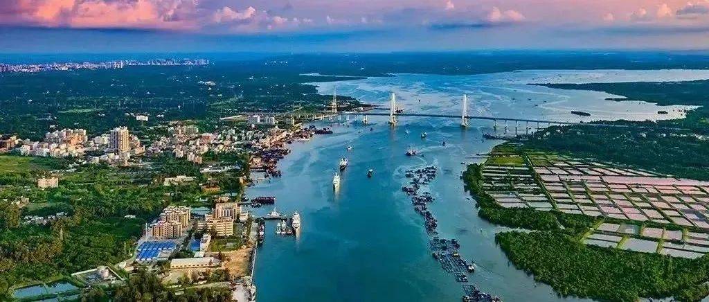 海南“2+3”健康服务包防治项目将在琼海、东方、保亭开展试点_周长强_疾病_工作