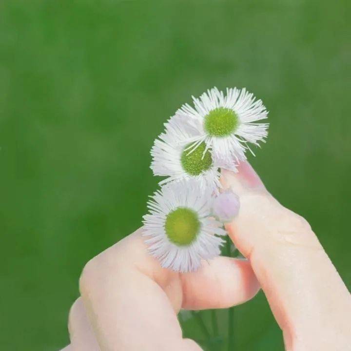最透彻的人生感悟,就一个字!让步朋友上帝