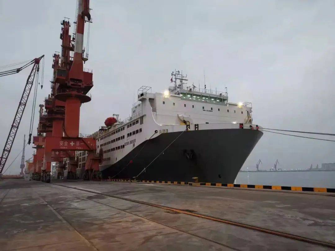 寒冬下的守护 | 大沽口海事局连续保障2艘活牛船安全靠泊_船舶_工作_进港
