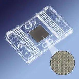 Fluidigm获2.5亿美元战略性投资，推动质谱流式细胞技术和微流控平台发展_BioTools_公司_Casdin